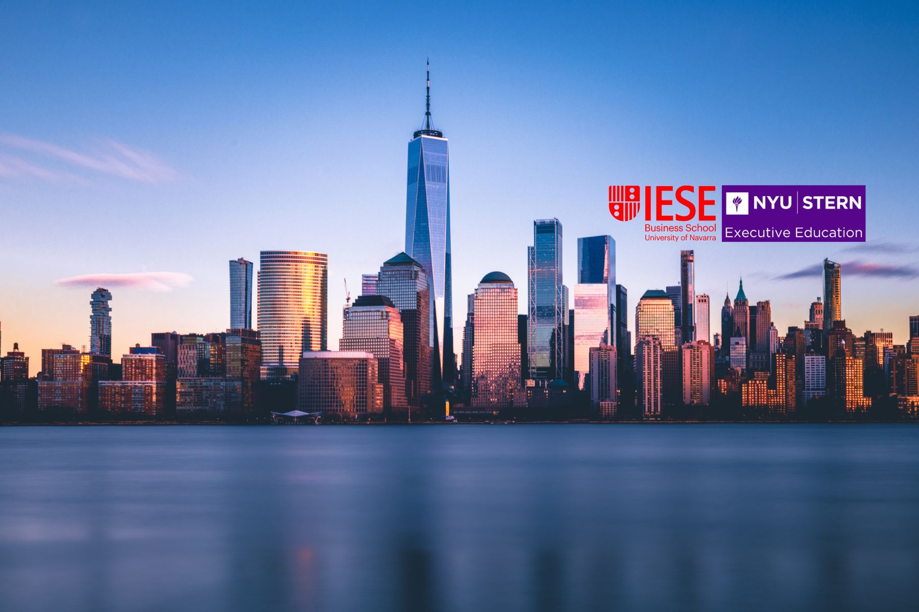 C-Suite Pathway Program | IESE & NYU Stern
