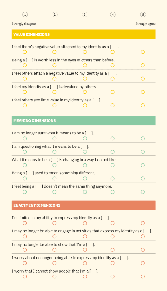 From stress to success: a diagnostic for navigating identity and change ...