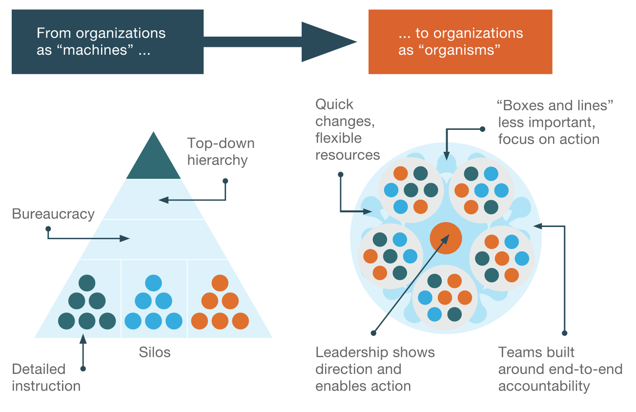 How to be an agile leader in an ever-changing environment