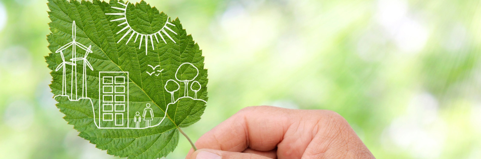 Library | IESE Business School